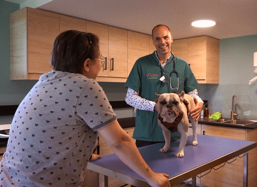 Vet-Solutions - Vet-Solutions