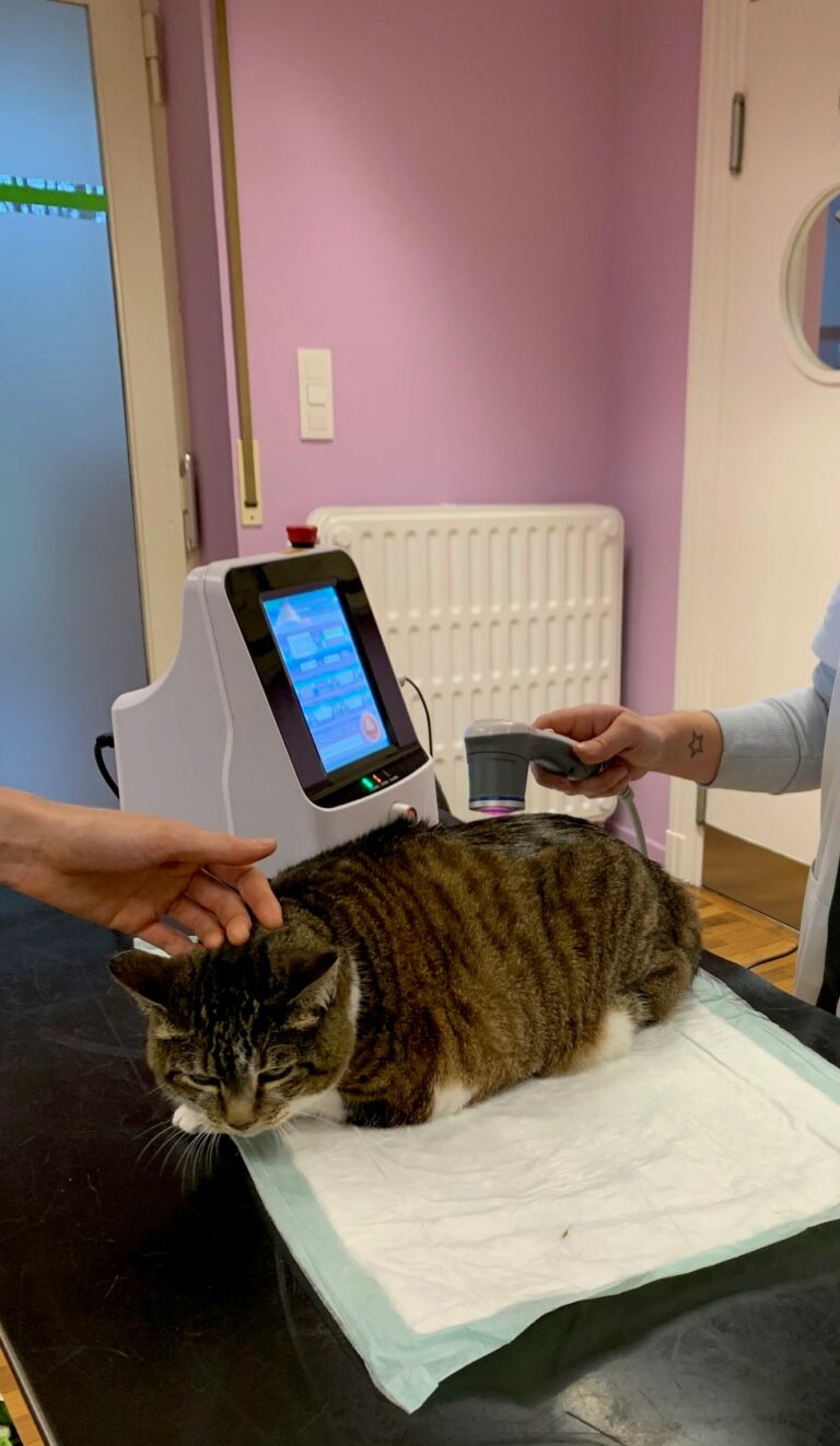 Vet-Solutions - Vet-Solutions